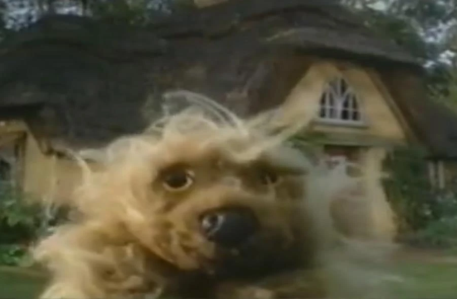 Furryboo | Tots TV Wiki | Fandom