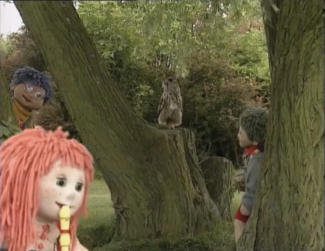 Owl | Tots TV Wiki | Fandom