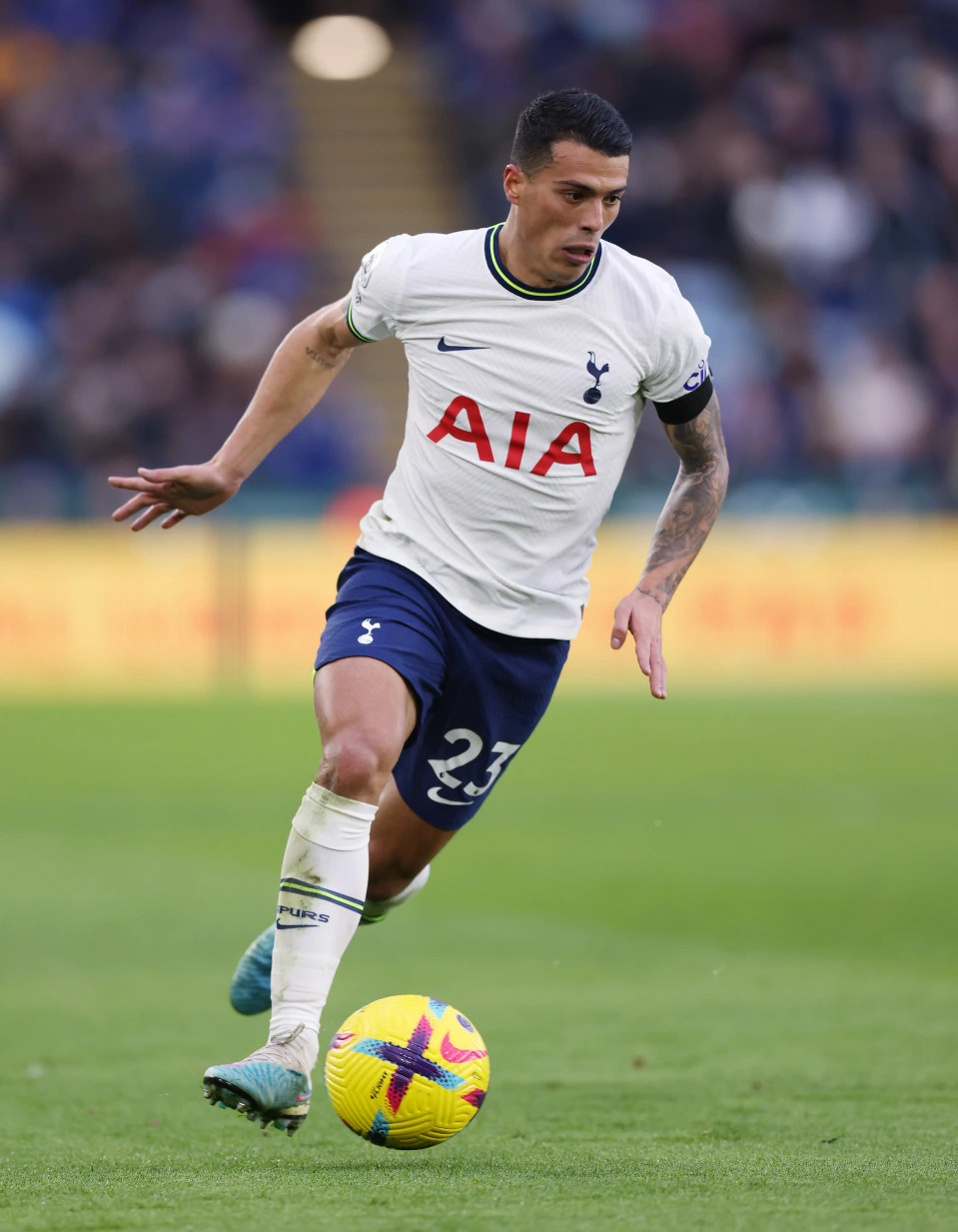 Pedro Porro | Tottenham Hotspur Wiki | Fandom