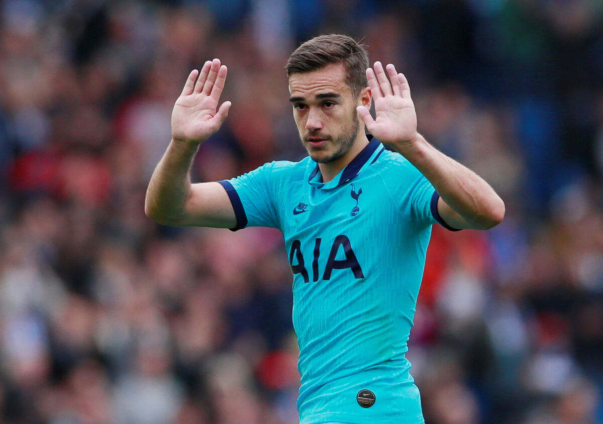Harry Winks | Tottenham Hotspur Wiki | Fandom