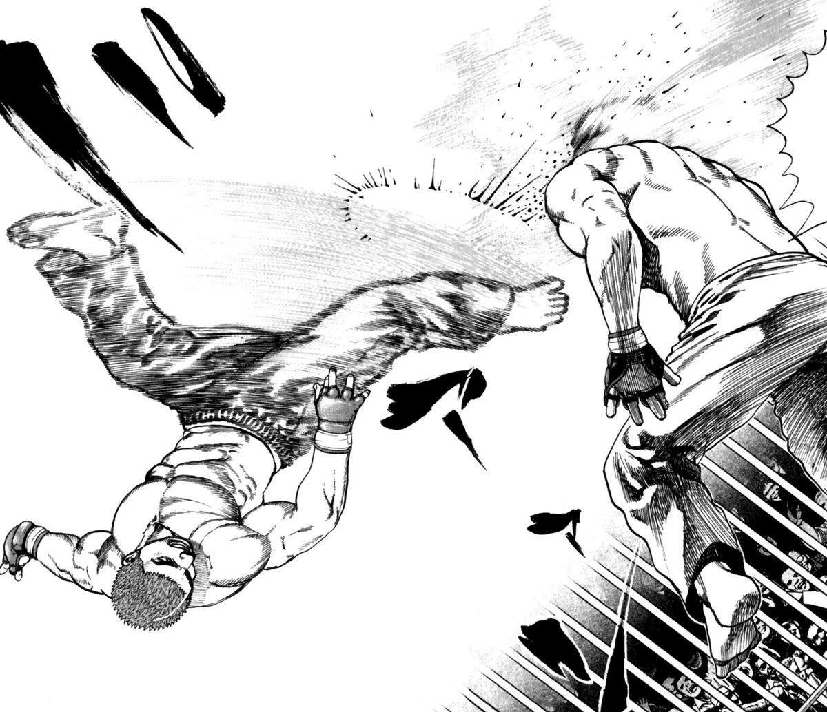 Spinning Fall Kick | Tough Wiki | Fandom