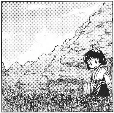 Road of Reconsideration | Touhou Wiki | Fandom