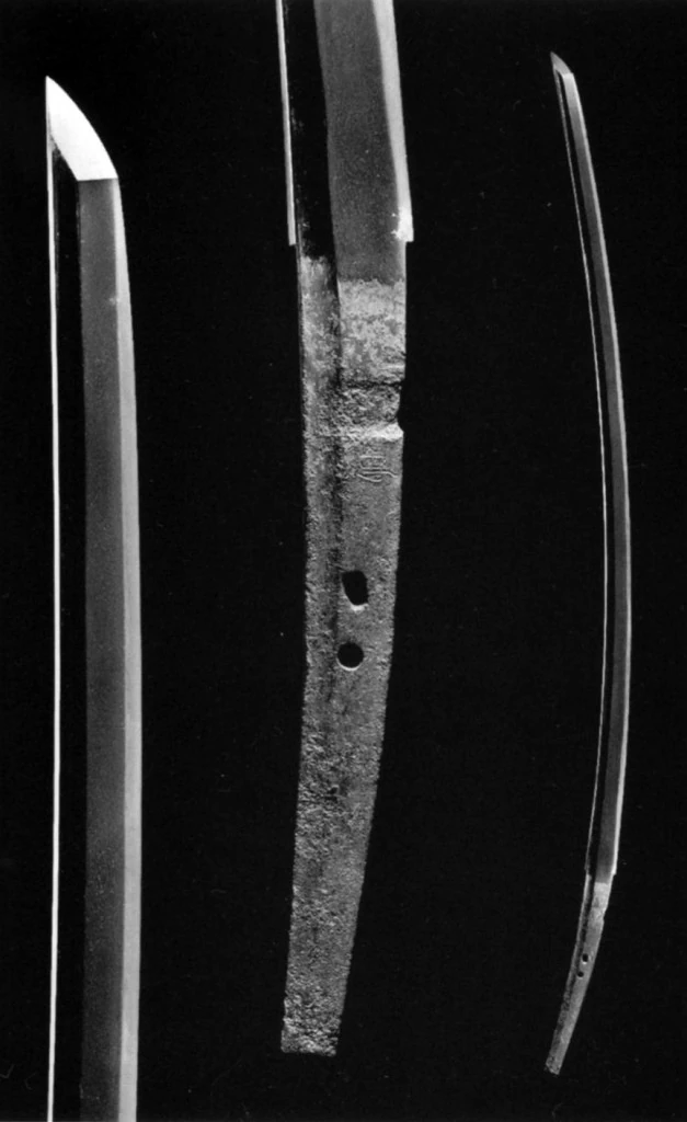 Hizamaru/Trivia | Touken Ranbu Wiki | Fandom