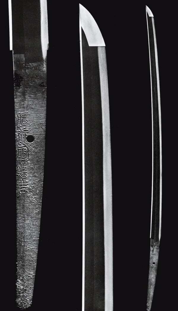 Hizen Tadahiro/Trivia | Touken Ranbu Wiki | Fandom