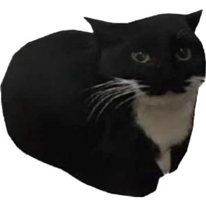 Png Bot2 | Tower Defense Simulator Wiki | Fandom