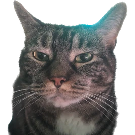 Png Bot3 | Tower Defense Simulator Wiki | Fandom