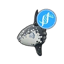 Floppy Fish Gene | Tower of Fantasy Wiki | Fandom