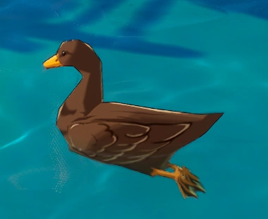 Duck | Tower of Fantasy Wiki | Fandom