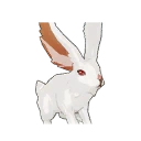 Snowball | Tower of Fantasy Wiki | Fandom