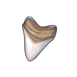 Skull Shark Tooth | Tower of Fantasy Wiki | Fandom