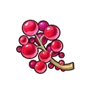 Thornfruit | Tower of Fantasy Wiki | Fandom