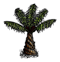 Oil Palm - Official Two Hours One Life Wiki