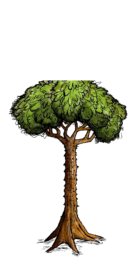 Boards - Two Hours, One Life Wiki