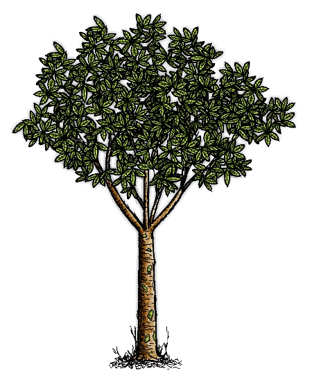 Rubber - Two Hours, One Life Wiki