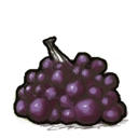 Grape | Towncraft Wiki | Fandom