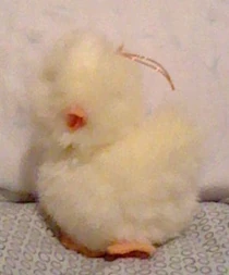 Princess Fluff | Toy Island and Ethanville Wiki | Fandom