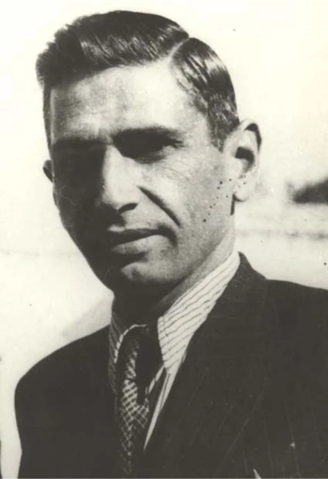 Mehran Hosseini | Toy Islands Wiki | Fandom