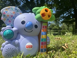 Counting Koala | Toys That Make Noise Wiki | Fandom