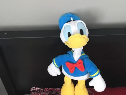 Donald Duck Jr. | Toysland Wiki | Fandom