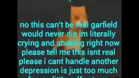 Funny cat | Toytale Roleplay Wiki | Fandom