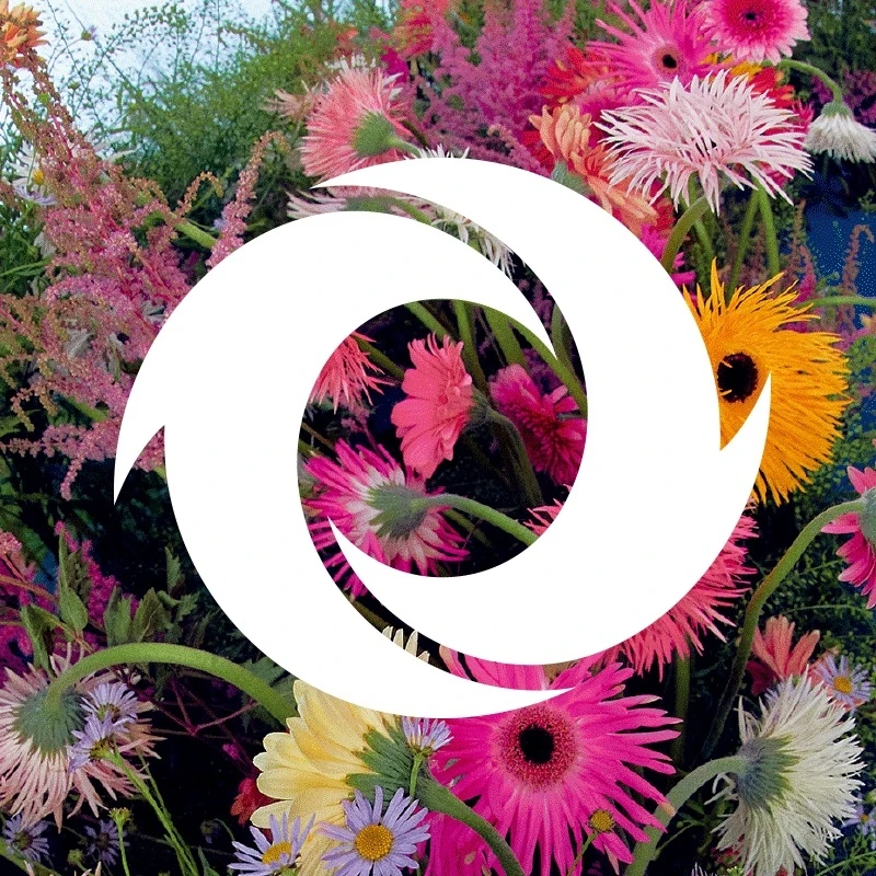 SHINING UP/Image Gallery | TEMPEST Wiki | Fandom