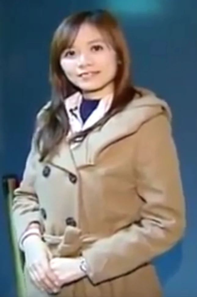 Taiwanese News Reporter (NES) | Never Ending Story Multiverse Wiki | Fandom