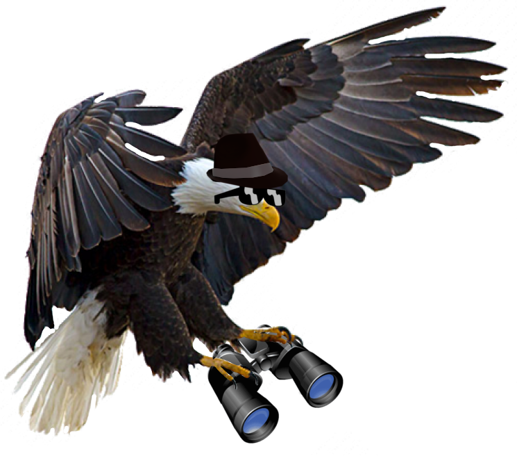 Peruvian Spy Eagle | Never Ending Story Multiverse Wiki | Fandom