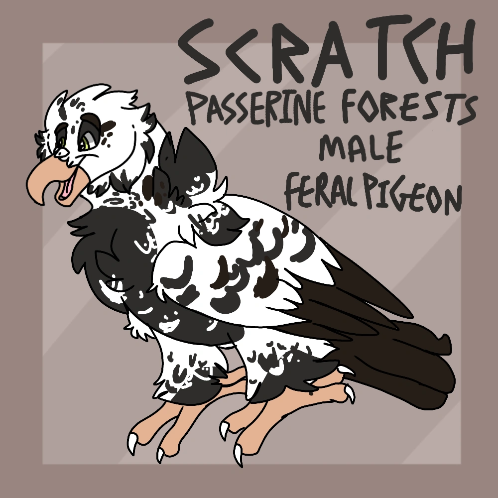 Scratch | The Quillian Chronicles Wiki | Fandom