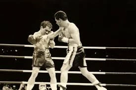 Curiosidades | Trabalho de boxe Wiki | Fandom