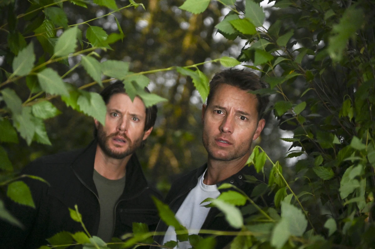 Ontological Shock | Tracker Wiki | Fandom