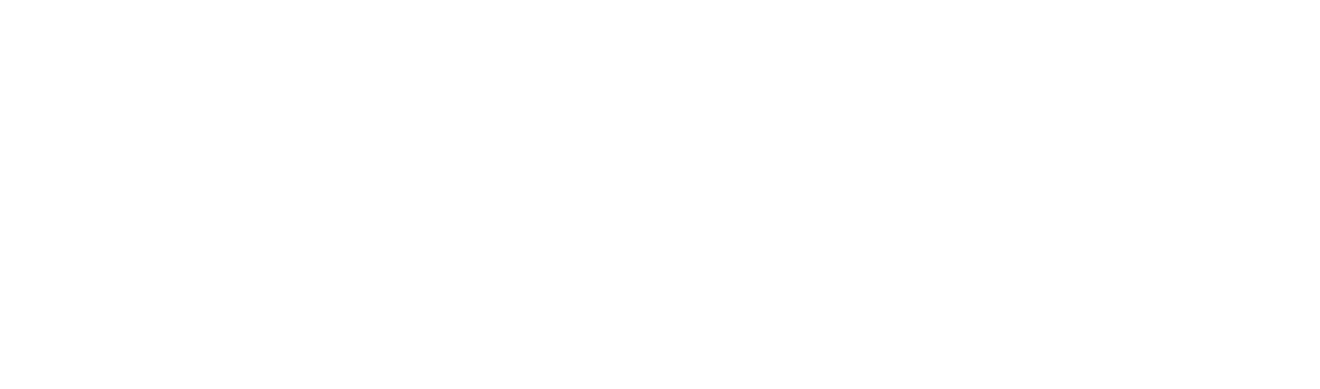 Nadeo | Wiki TrackMania | Fandom