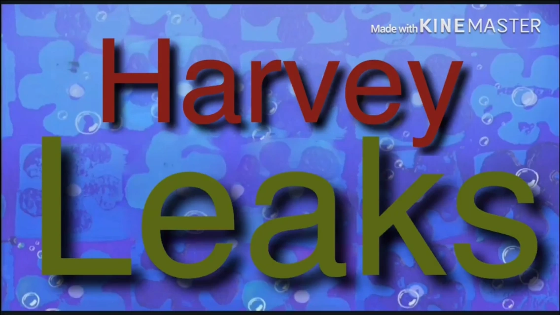 Harvey Leaks | TrackMaster Shorts Wiki | Fandom