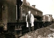 Duck | Trackmaster Thomas & Friends and Transformers Wiki | Fandom