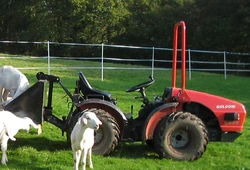 Goldoni Quad | Tractor & Construction Plant Wiki | Fandom