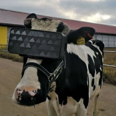 Vaca | Wiki Traductor Gang | Fandom