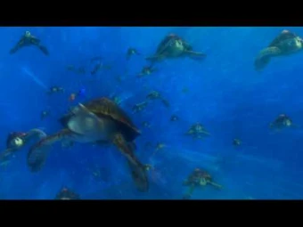 Finding Nemo 2 Movie Trailer
