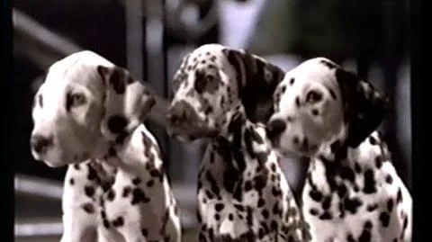 101 Dalmatians (1996) Home Video Trailers | Trailer Transcripts Wiki ...