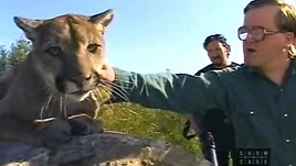 Steve French | Trailer Park Wiki | Fandom