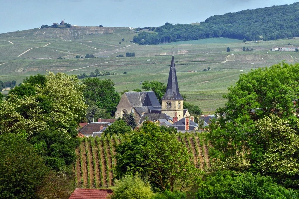 Rilly-la-Montagne | Wiki Le Train des français | Fandom