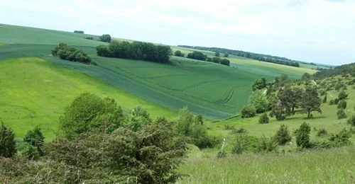 Courtemanche | Wiki Le Train des français | Fandom