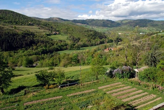 Limony | Wiki Le Train des français | Fandom