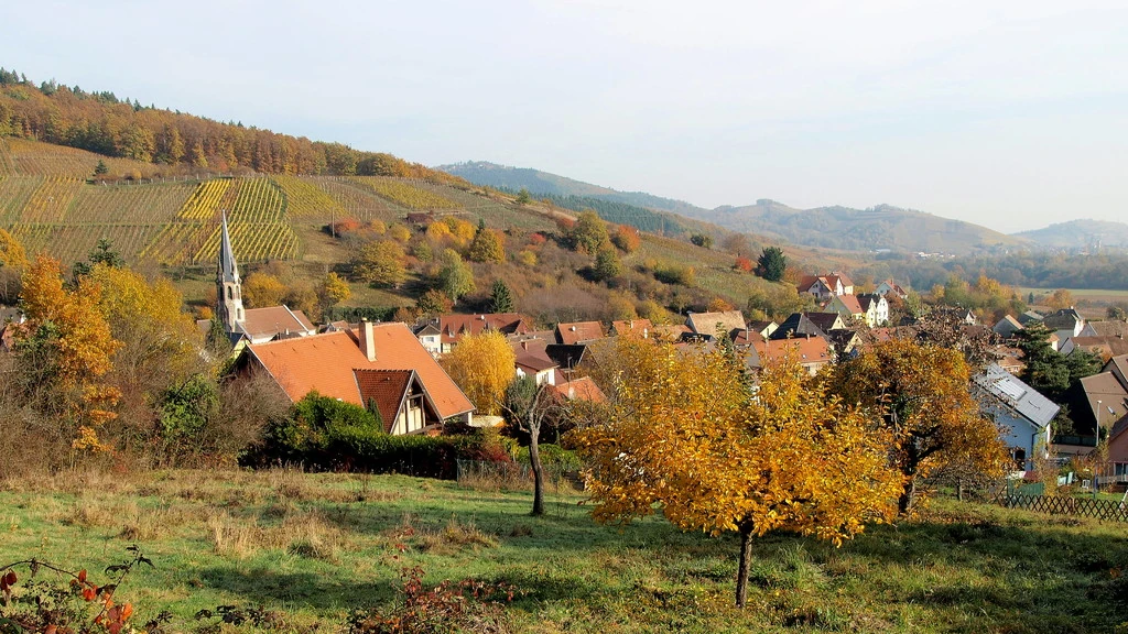 Walbach-La-Forge | Wiki Le Train des français | Fandom