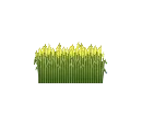 Corn Field | TrainStation Wiki | Fandom
