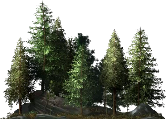 Conifer Grove | TrainStation Wiki | Fandom