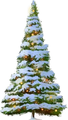 Shiny Tree | TrainStation Wiki | Fandom