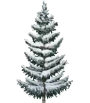 Snowy Small Spruce | TrainStation Wiki | Fandom
