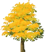 Maple | TrainStation Wiki | Fandom