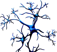 Neuron | TrainStation Wiki | Fandom