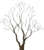 Icy Tree | TrainStation Wiki | Fandom