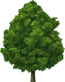 Strong Maple | TrainStation Wiki | Fandom